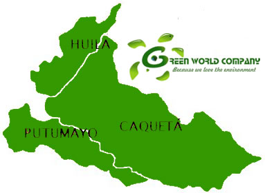 Historia – Green World Company